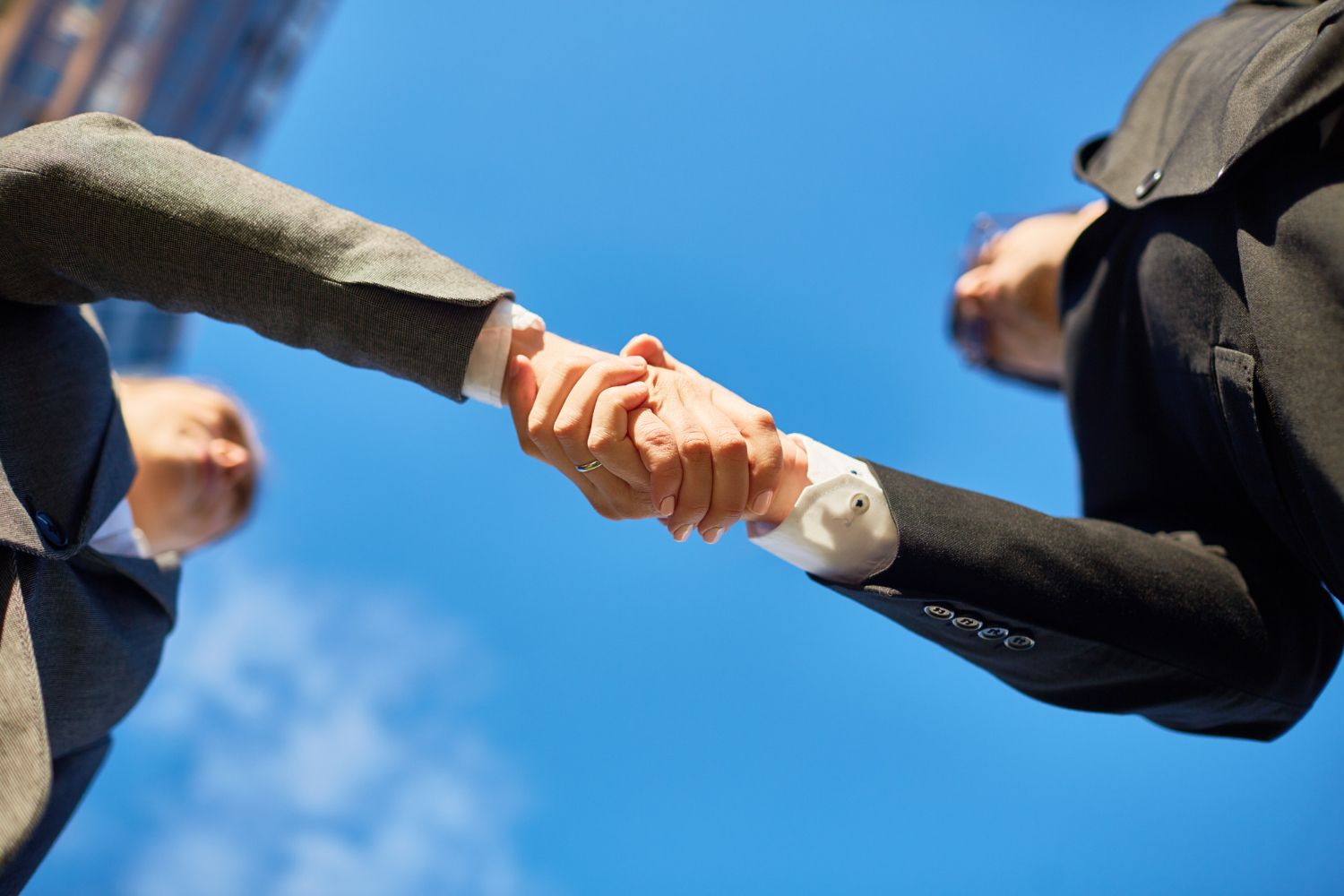 Analyze common difficulties in applying for an MSO license. Experts ...